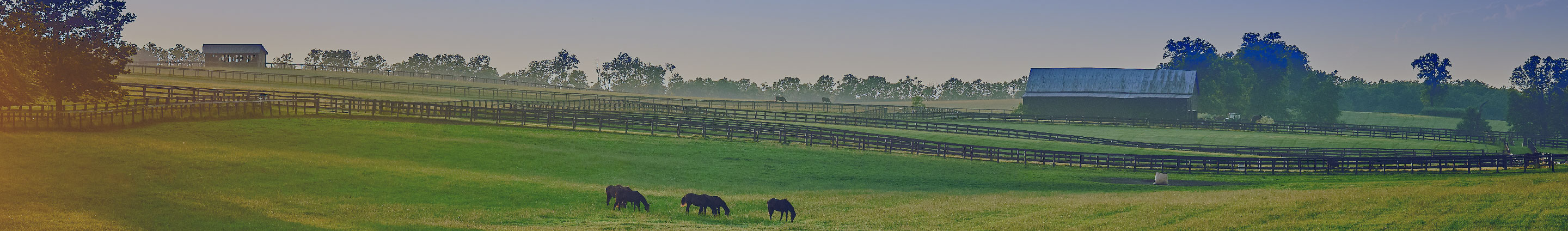 APHIS Public Search Tool